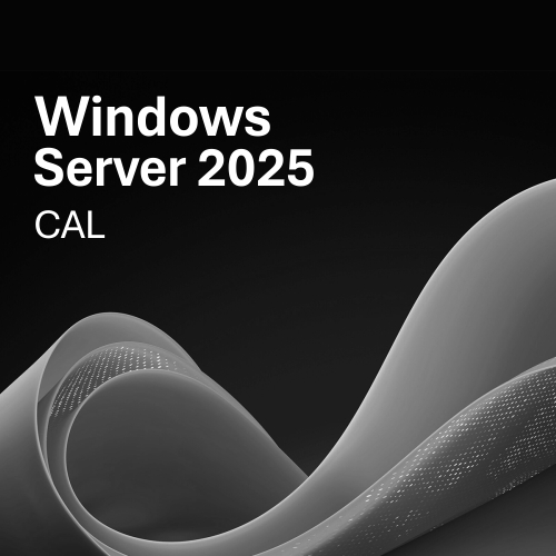 HPE Windows Server 2025 CAL User (P77110-B21) | HP-SHOP.SK