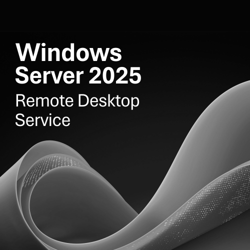 HPE Windows Server 2025 Remote Desktop Services CAL User (5 User ...